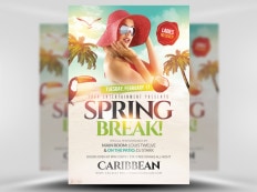 Spring Break Flyer Template - FlyerHeroes